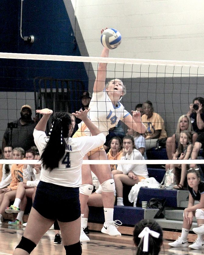 Red-hot Bears sweep Madonna | News, Sports, Jobs - The Herald Star